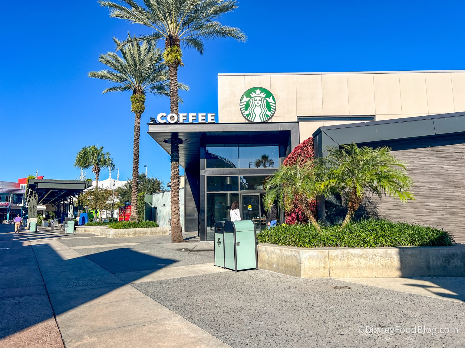 Dreams DO Come True — The VIRAL Starbucks Bear Cup is Making a Comeback ...