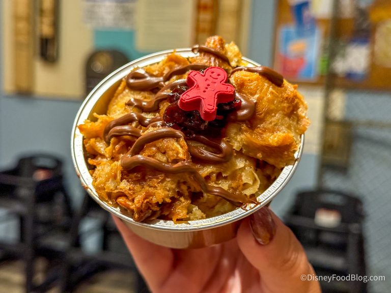 FULL REVIEWS: Every Exclusive Snack We Ate at Disney's Jollywood Nights ...