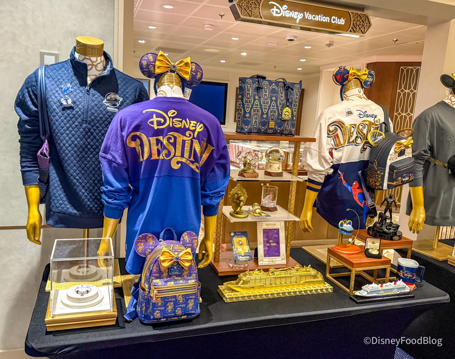 FULL LOOK at the Exclusive Merchandise on the Disney Destiny | the ...