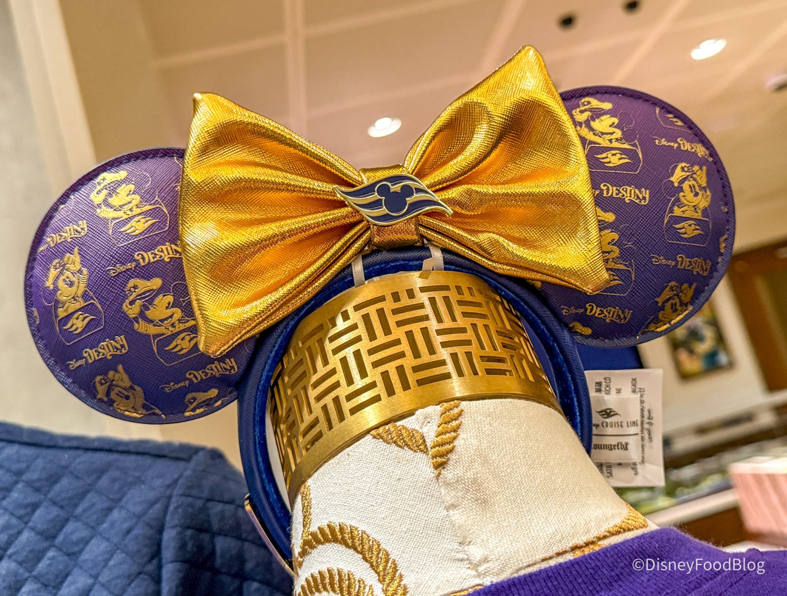FULL LOOK at the Exclusive Merchandise on the Disney Destiny | the ...