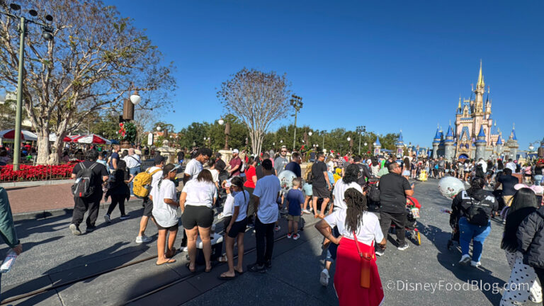 PHOTOS: You Won't Believe the Christmas Eve Crowds at Disney World ...