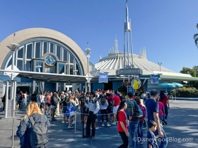PHOTOS: You Won't Believe the Christmas Eve Crowds at Disney World ...