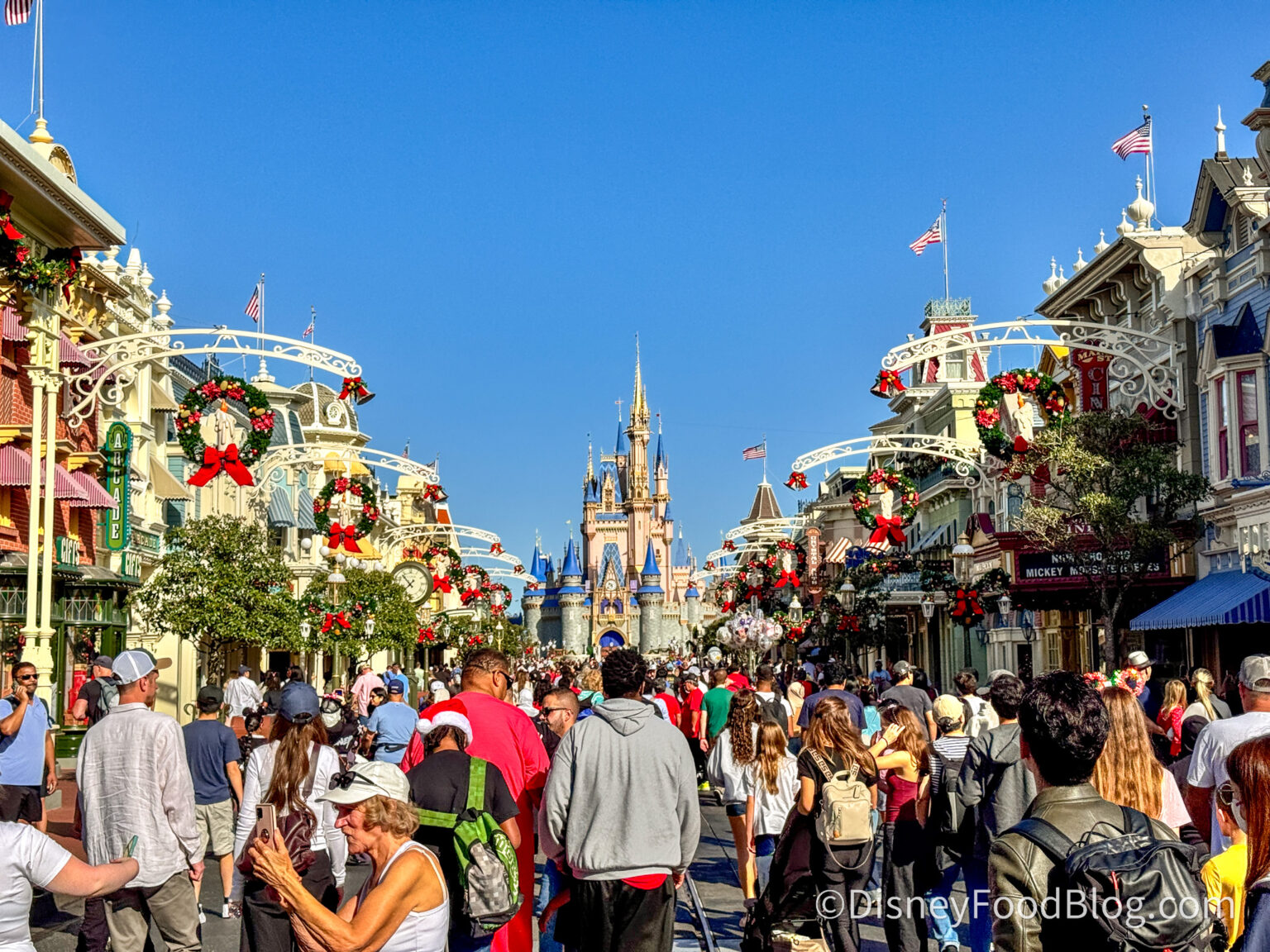 These Are NOT the Crowds We Expected in Magic Kingdom Today | the ...