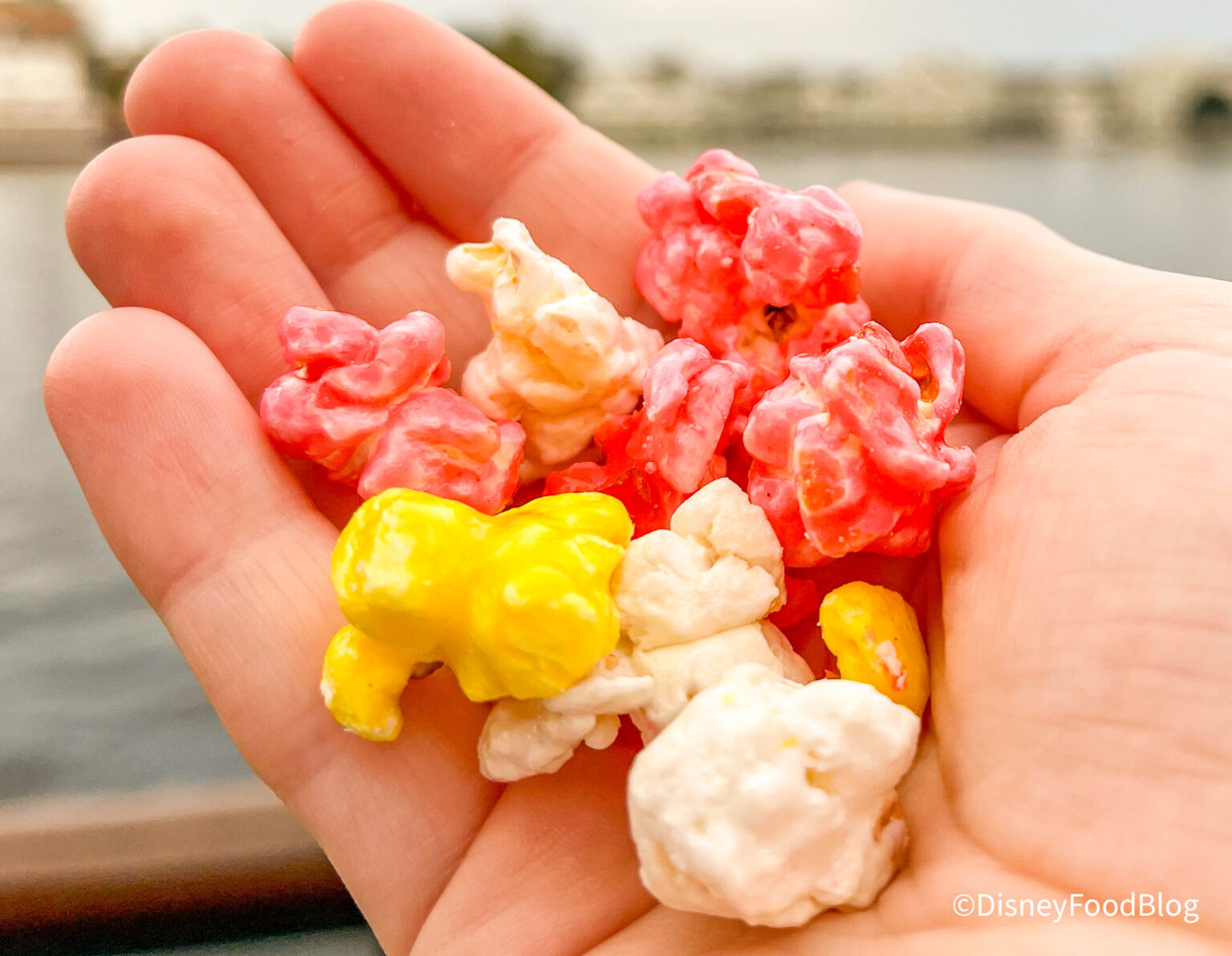 SURPRISE! A New Snack Stand Just Opened on Disney's BoardWalk | the ...