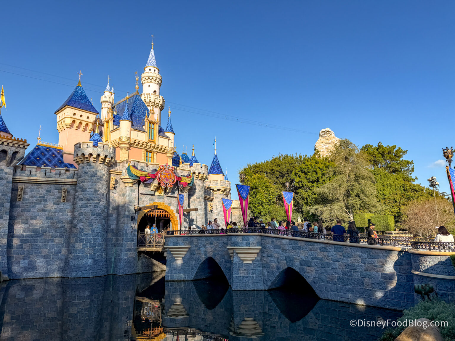 The SECRET Place To Get Our Favorite $15 Disney Souvenir | the disney ...