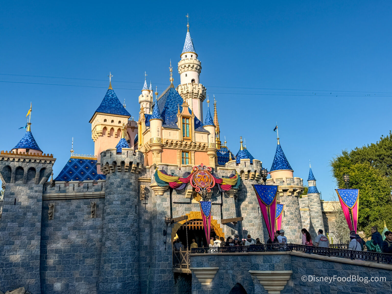 Disneyland Magic Key Holders Can Get a FREE $100 Dining Card — Here's ...