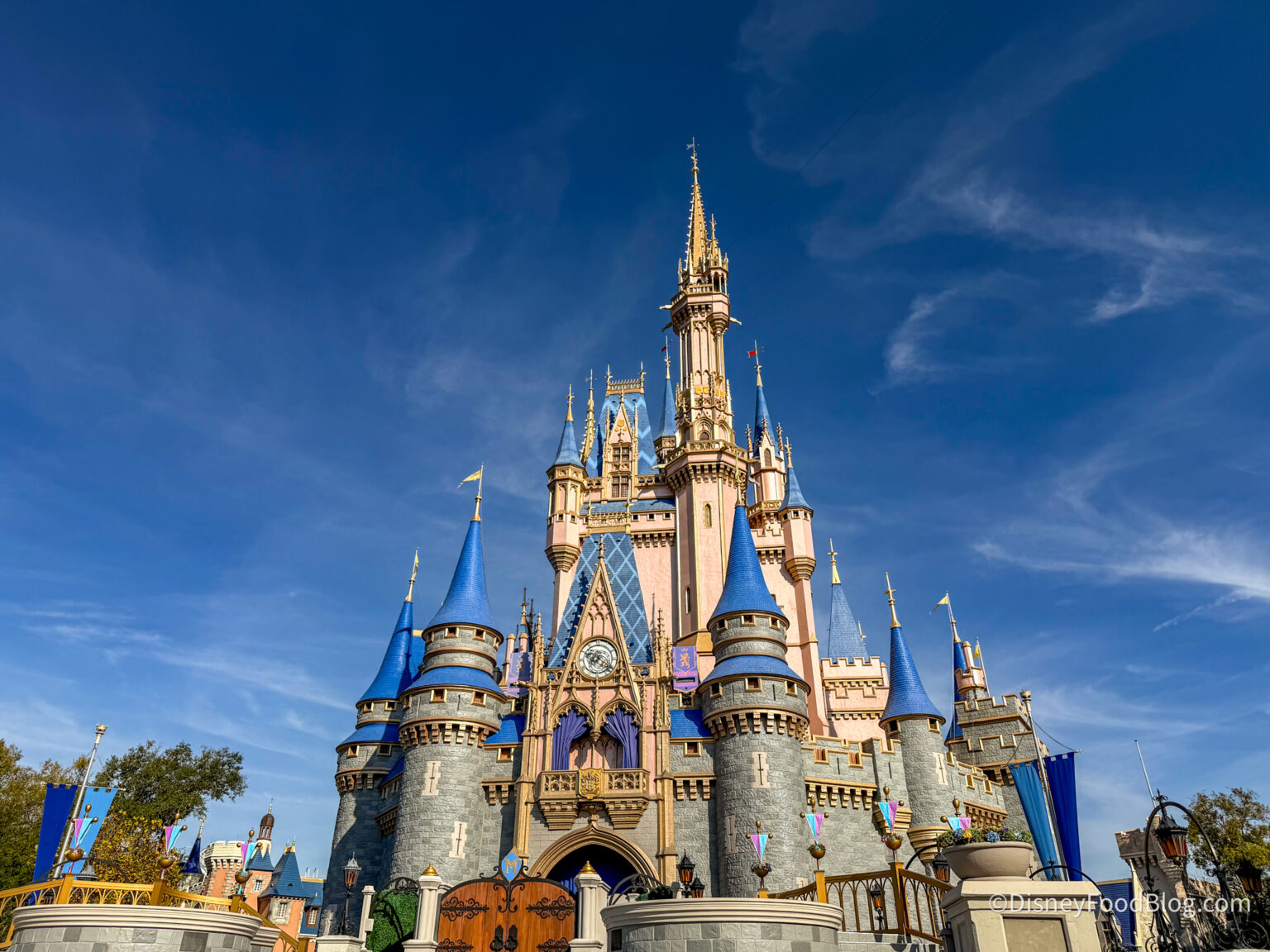 6 Things That'll Make Your Magic Kingdom Day 10x Better in 2026 | the ...