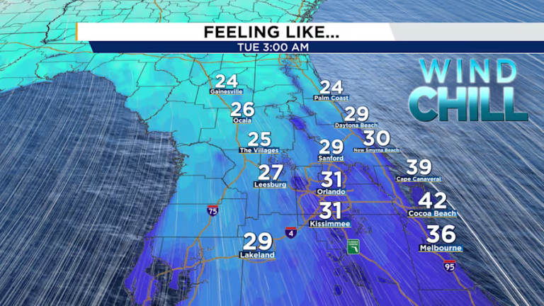 NEWS: Disney World Issued Cold Weather Advisory This Week | the disney ...