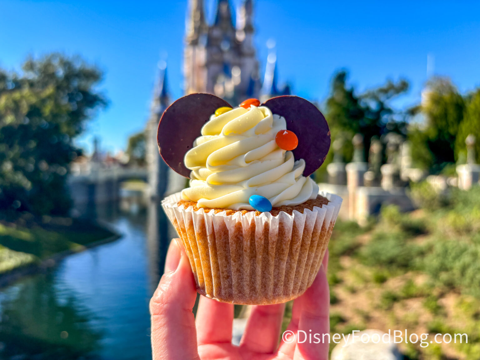 REVIEW: We Just Had 2 NEW Treats at Magic Kingdom — and We Have ...