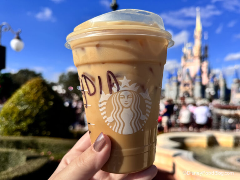 Starbucks Reveals NEW Secret Menu Item | the disney food blog