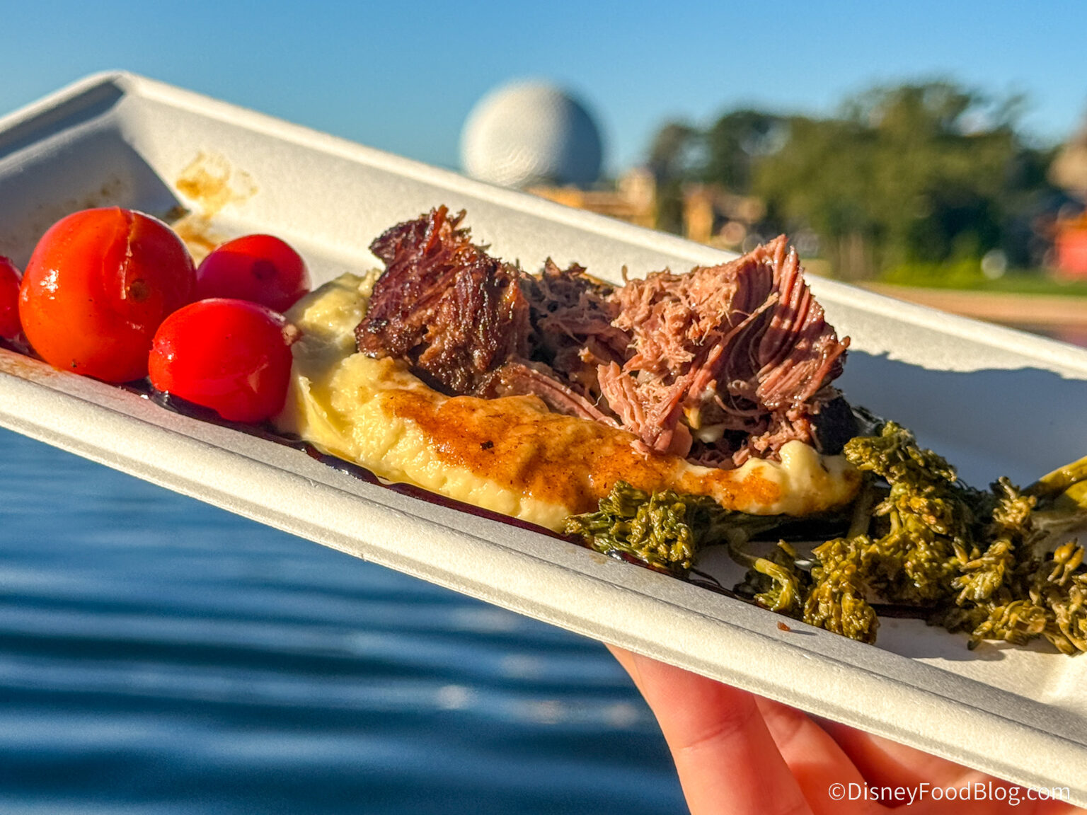 REVIEW: If You Skip This Booth, You're Doing EPCOT's Festival of the ...