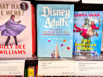 Best Disney Books for Adults (That BookTok Is Obsessed With) | the ...