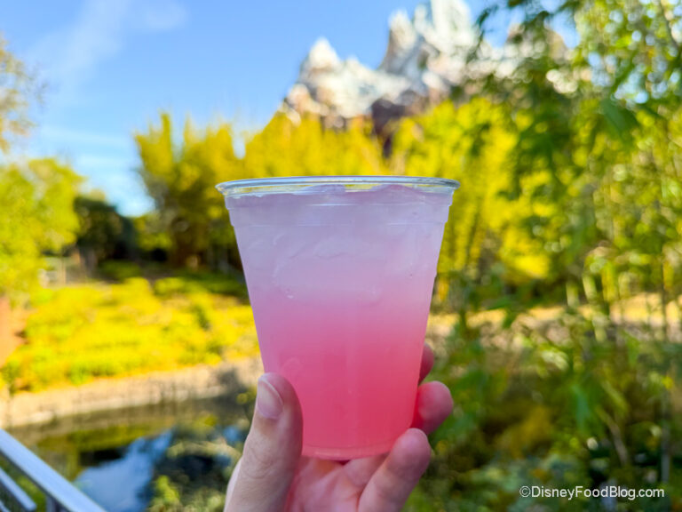 khumbu frozen icefall | the disney food blog