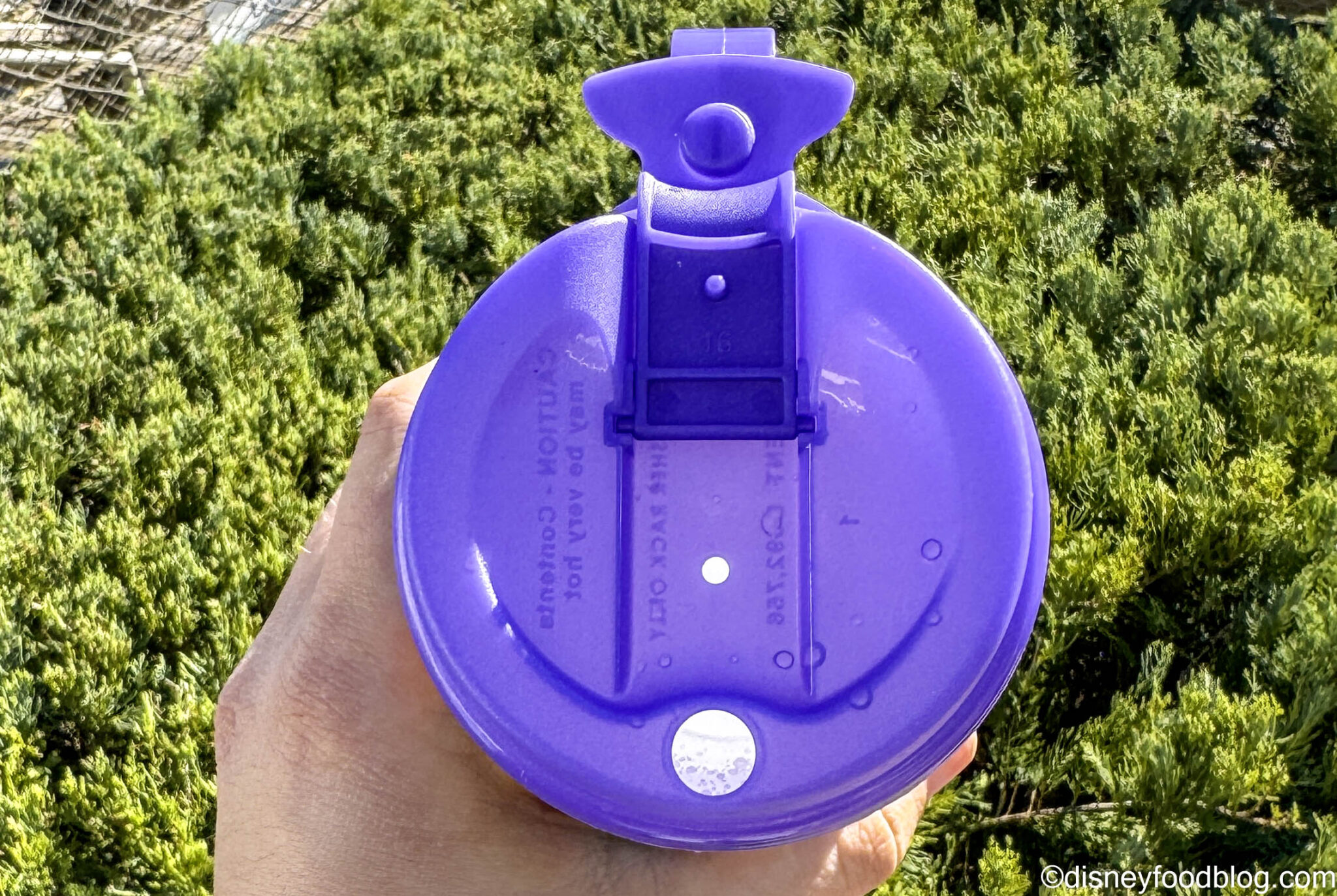 Why Buying a Refillable Mug at Disney's Fort Wilderness Is Pointless ...