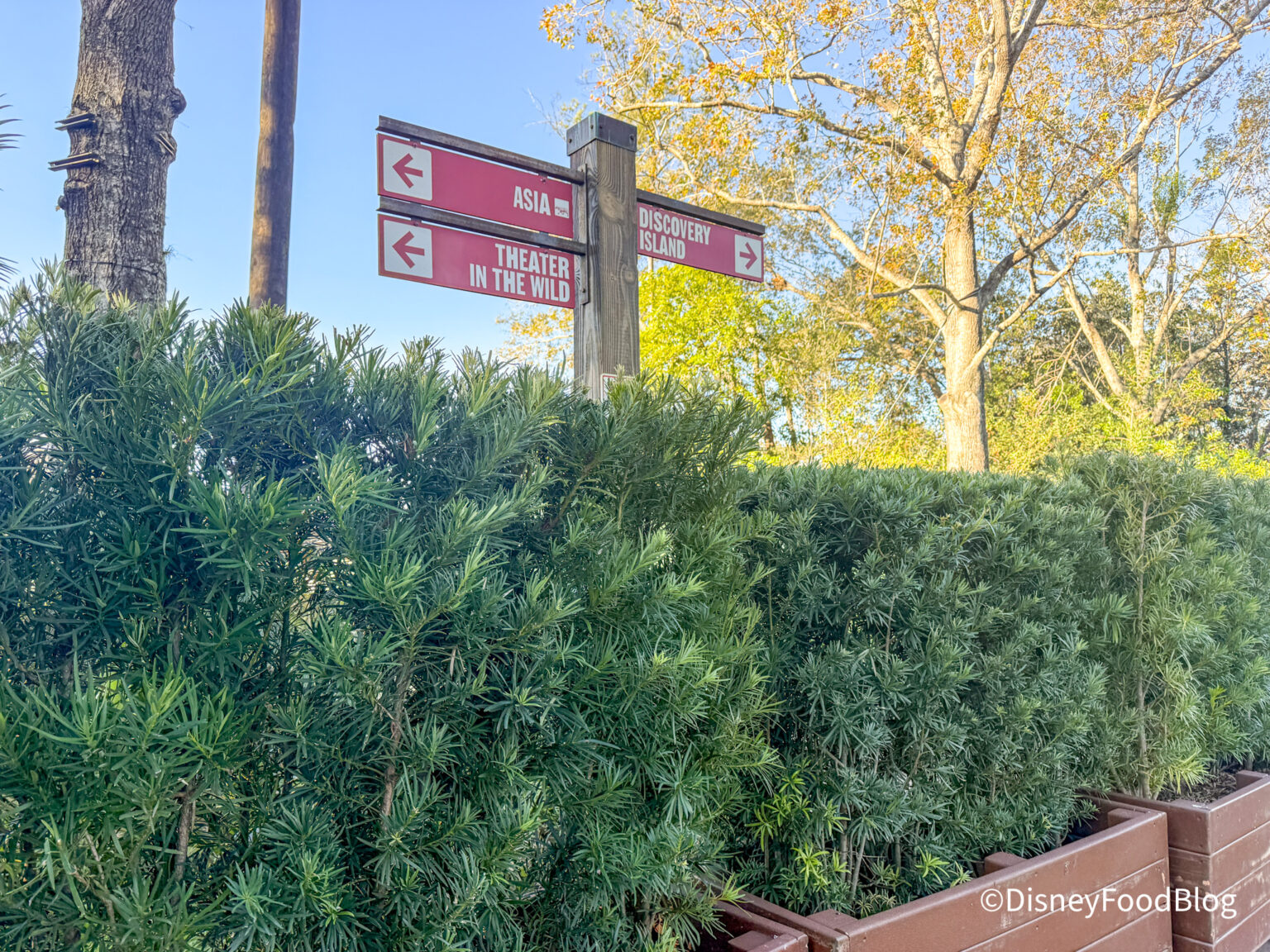 See the CHANGES at DinoLand U.S.A. Following Permanent Closure | the ...