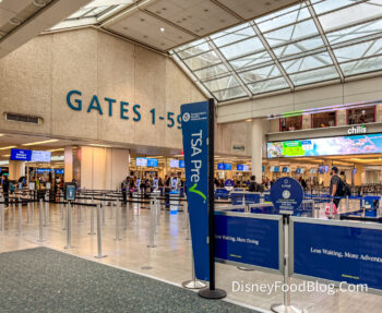 4 Things I Wish I Knew Before Waiting 45 Minutes in Line at the Orlando ...
