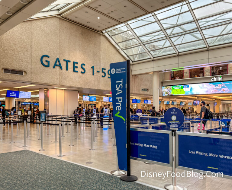 4 Things I Wish I Knew Before Waiting 45 Minutes in Line at the Orlando ...