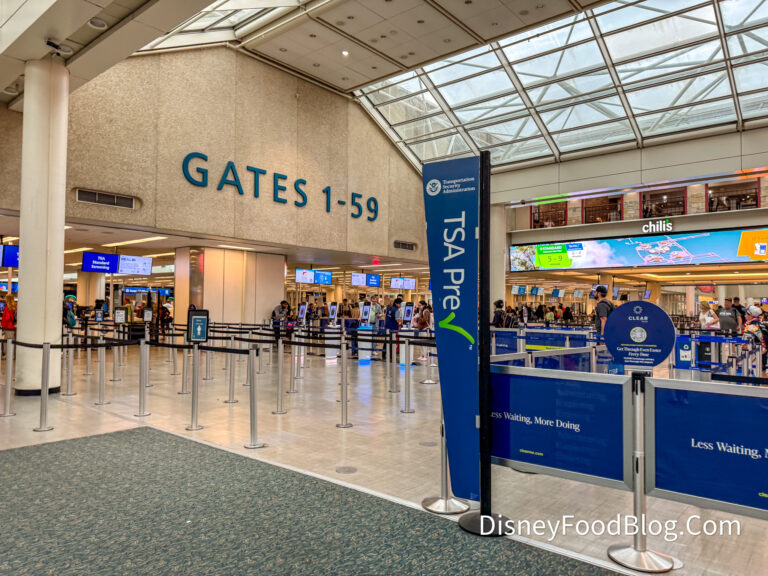 homeland security funding | the disney food blog