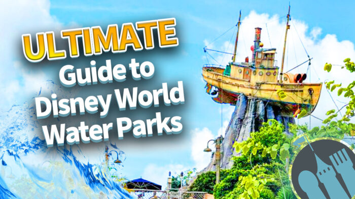 DFB Video: The ULTIMATE Guide to Disney World's Water Parks 2026 | the ...
