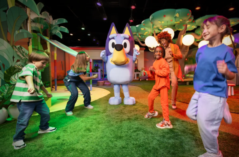 What If We Told You That You Can Now Visit Bluey's Backyard?! | the ...