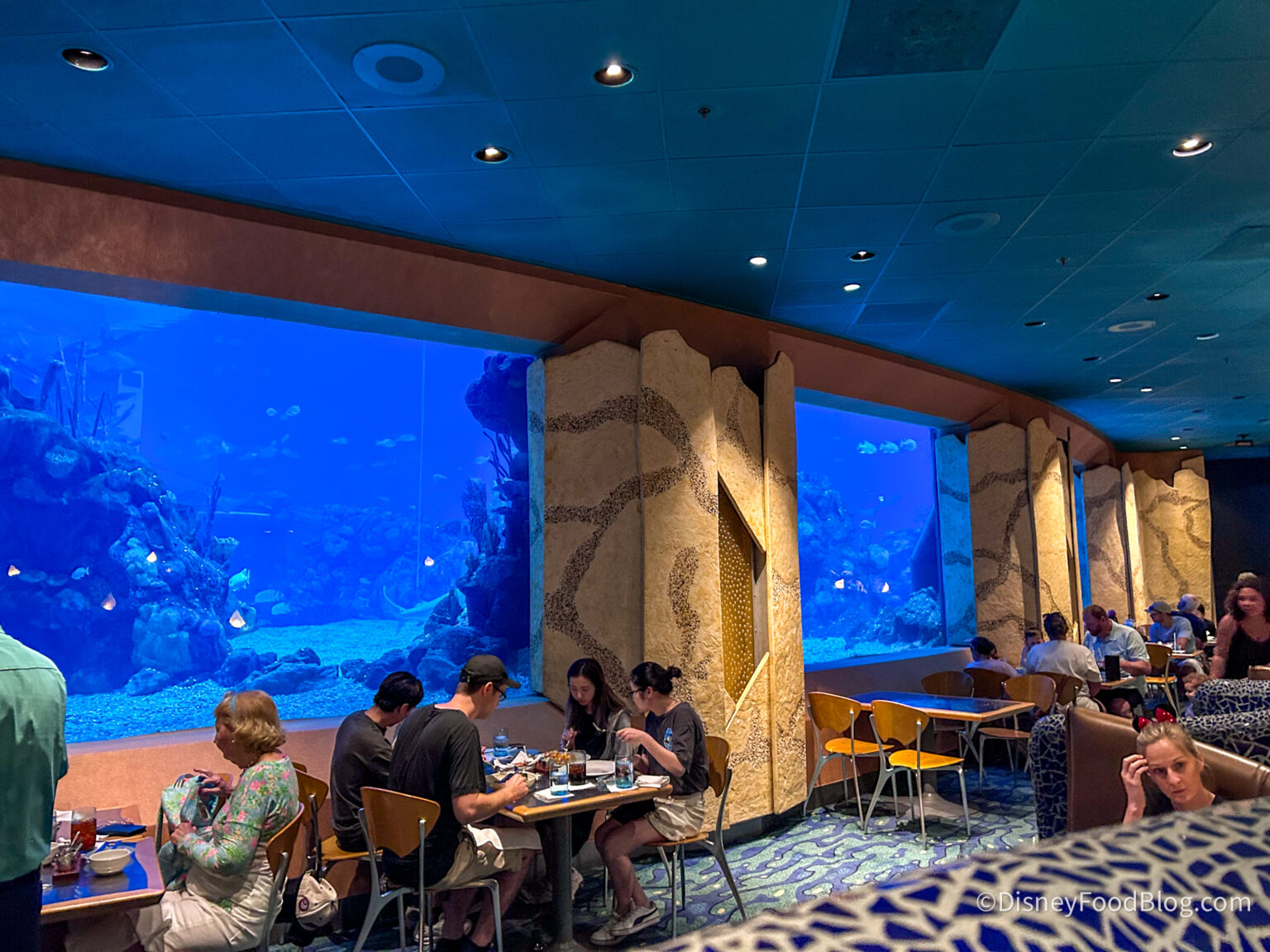 REVIEW: We're STILL Waiting for This EPCOT Restaurant to Impress Us ...