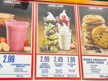 REVIEW: Costco's New $3 Sundae Is Viral…And Now We Know Why | the ...