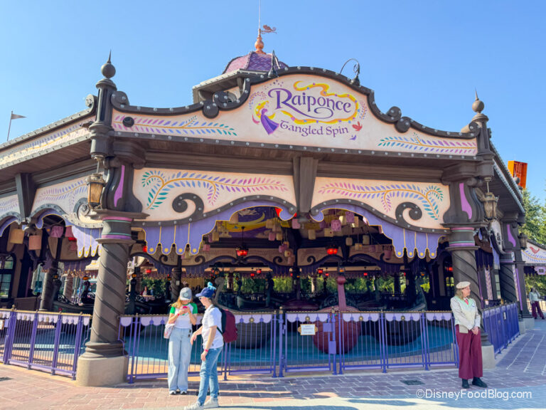 Check Out Disney's NEW 'Tangled' Ride With Us! | the disney food blog