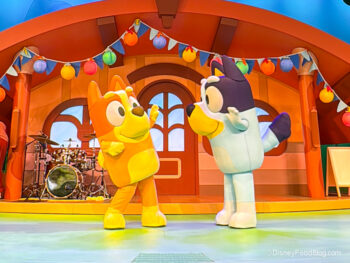 FIRST LOOK at New 'Bluey' Show Coming to Disneyland | the disney food blog