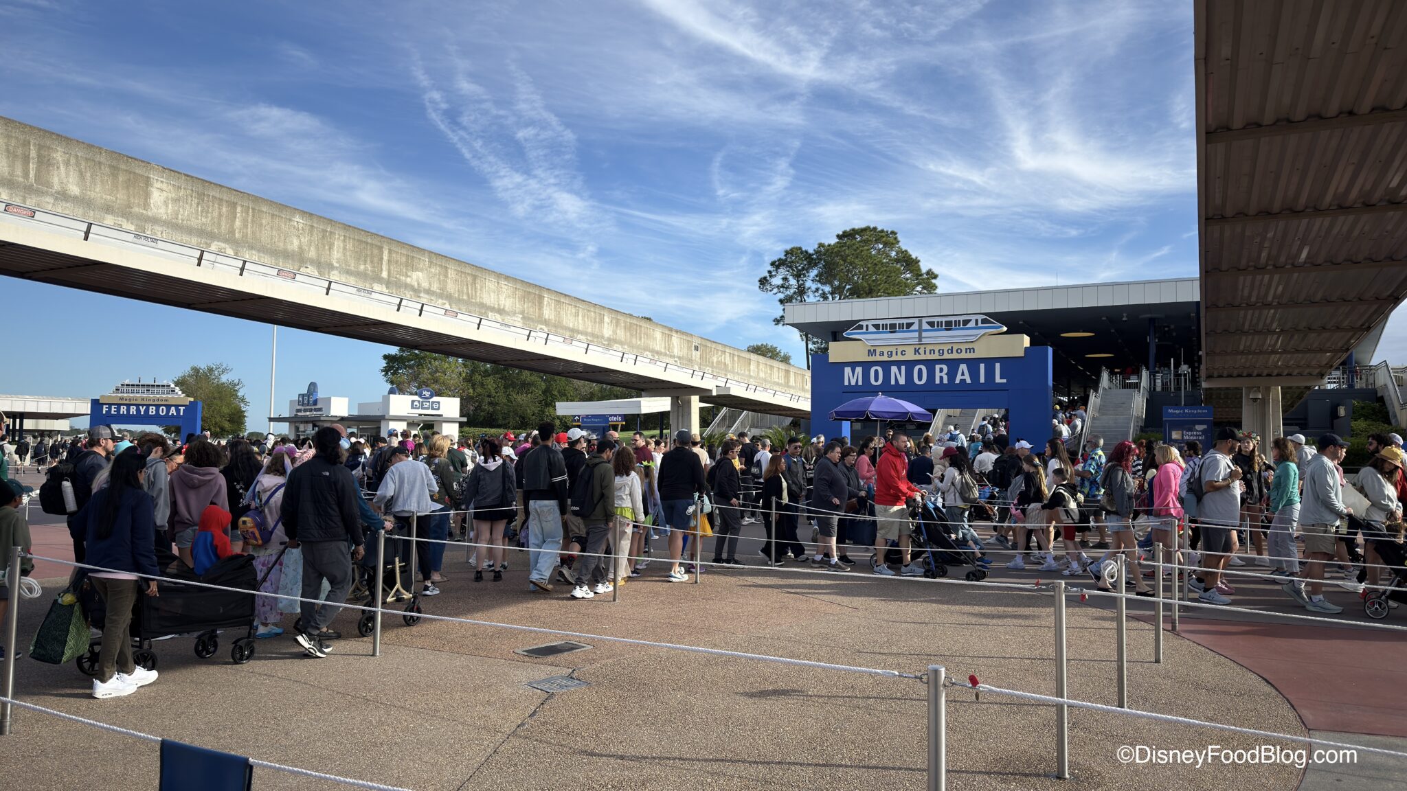 Heading to Disney World for Spring Break? Pack Your Patience! | the ...