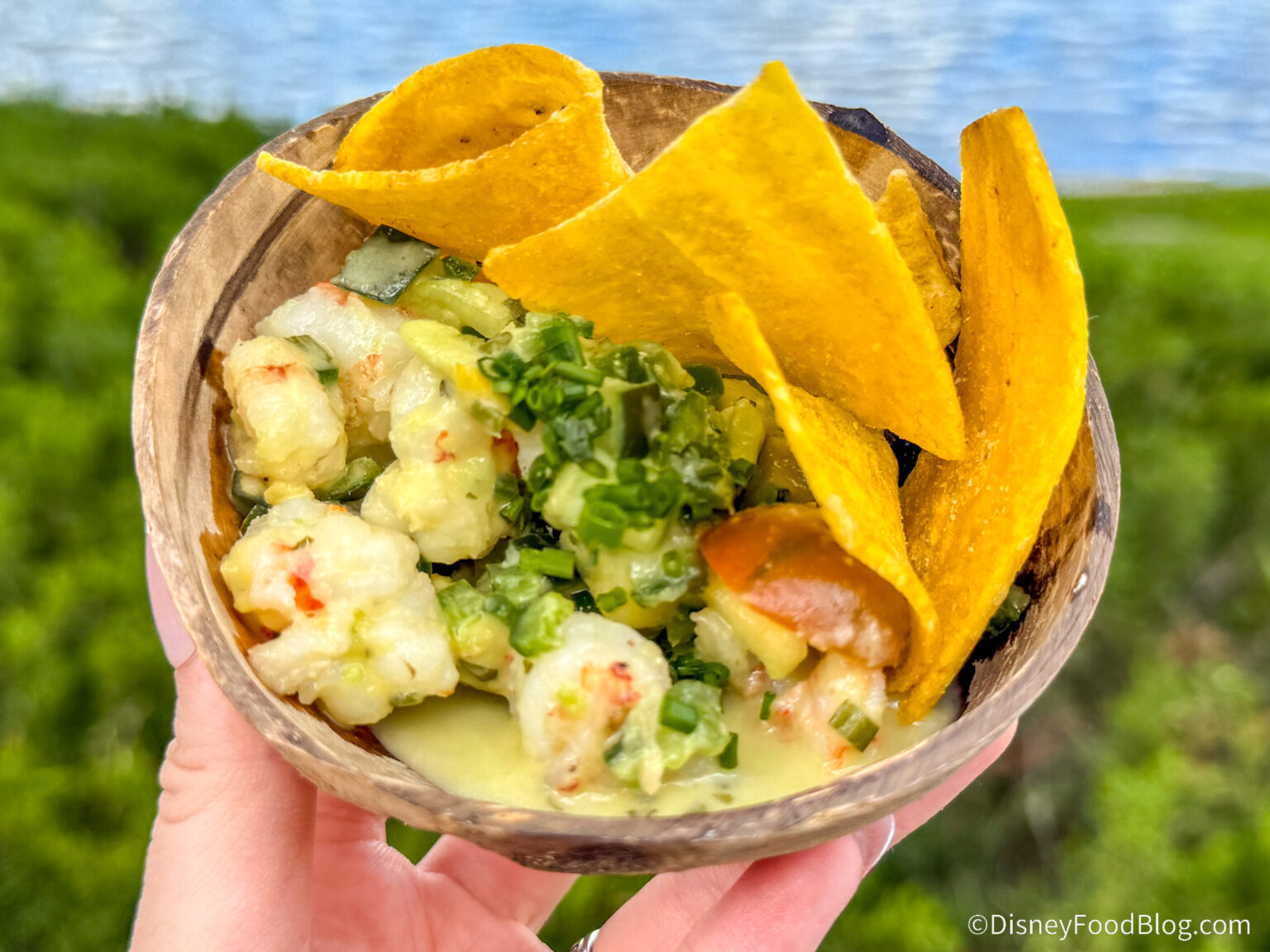 REVIEW: If You're In Your Sangria Era, This EPCOT Flower & Garden ...