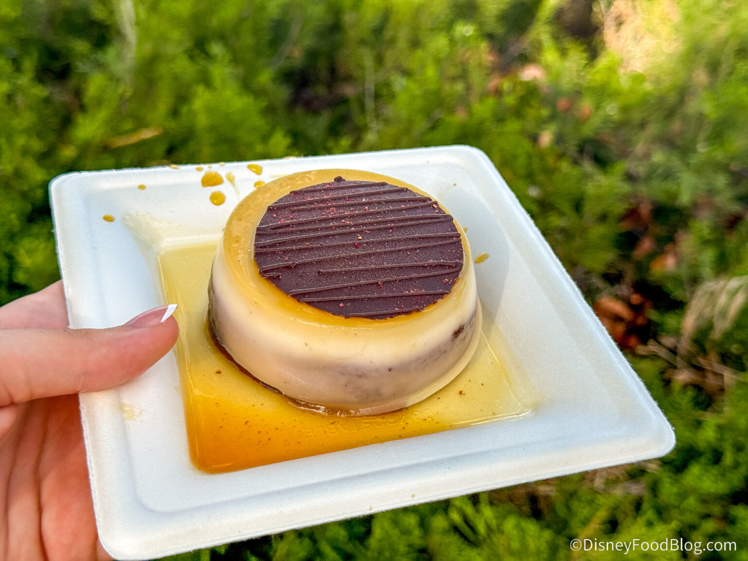 2026 EPCOT Flower and Garden Festival – La Isla Fresca | the disney ...