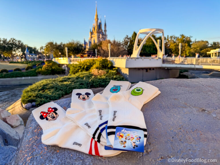 These Are The ONLY Socks You Need For Your Disney World Vacation! | the ...