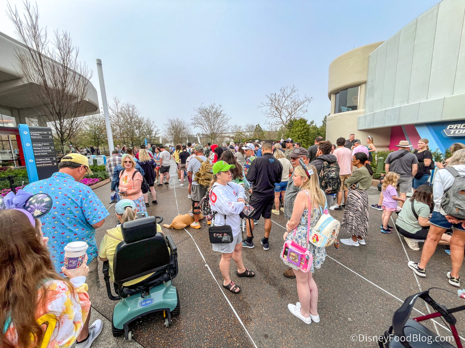 You Won’t BELIEVE the Crowds at the 2026 EPCOT Flower and Garden ...