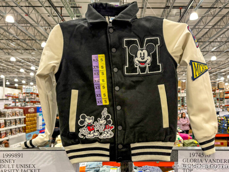 We Found Our New Favorite Disney Merch at COSTCO?! | the disney food blog
