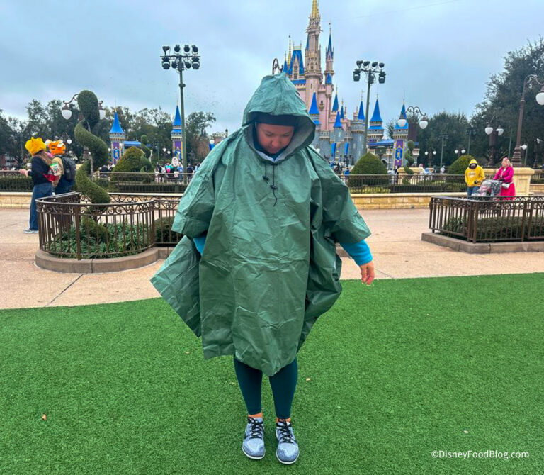 8 Disney World Essentials Under $15 on Amazon Today | the disney food blog