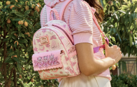 Mini Backpack Organizer Insert Small Shoulder Bag Divider for Rucksack ...