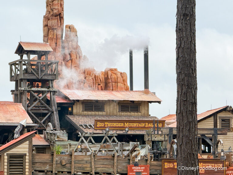 big thunder mountain hidden details | the disney food blog