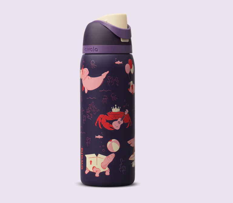 This NEW Owala Collection Is Going To Sell Out FAST | the disney food blog
