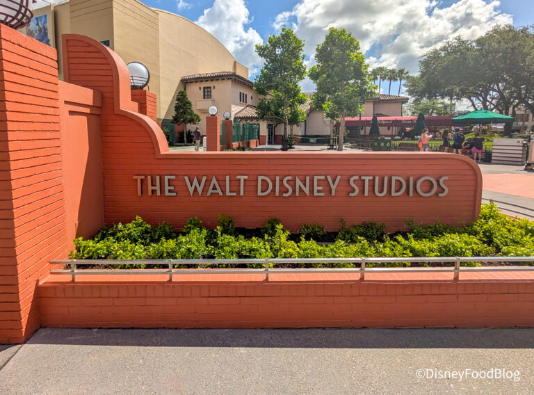 FIRST LOOK INSIDE a NEW Land at Disney's Hollywood Studios | the disney ...
