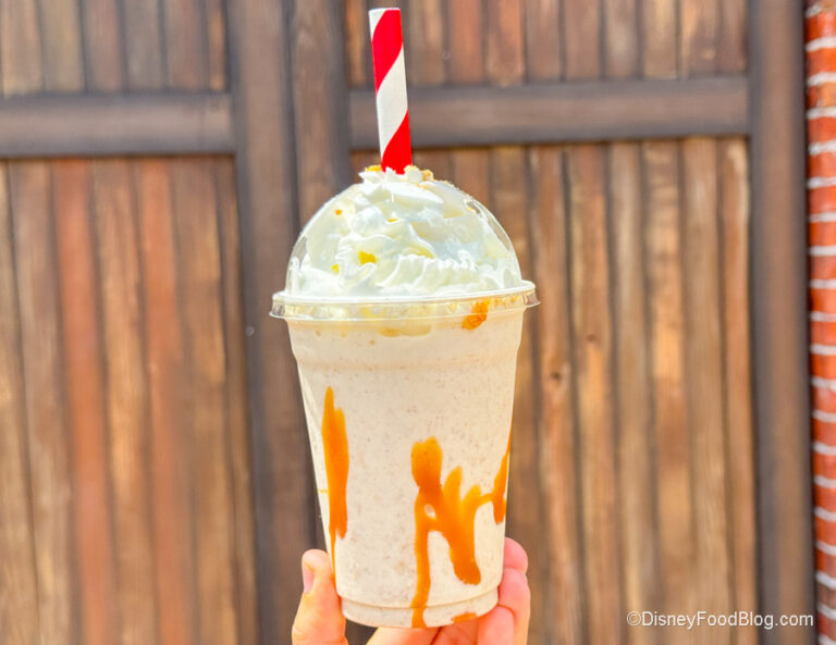 REVIEW: Why We Plan To Order This Shake Over and Over Again in Disney ...