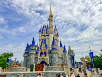 Bluey's Wild World open | the disney food blog