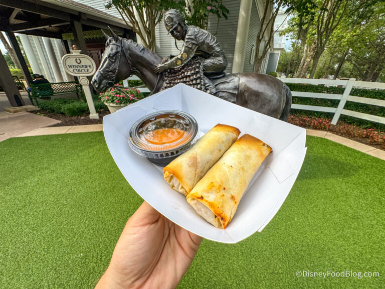 There's A NEW Spot to Get Cheeseburger Spring Rolls in Disney World ...