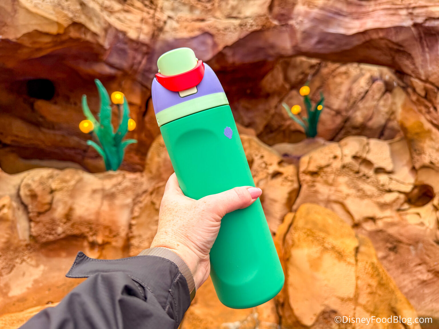 The Amazon Disney Finds We'd Instantly Buy Again | the disney food blog