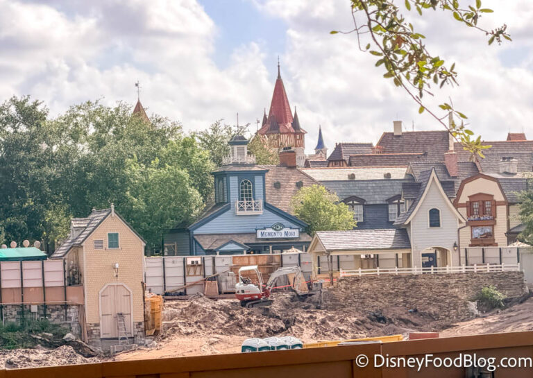 This NEW Magic Kingdom Land Is Officially Taking Shape | the disney ...