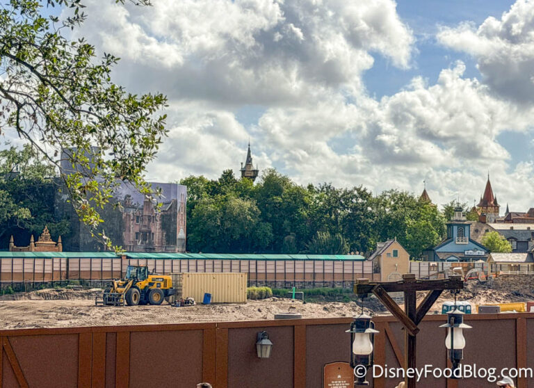 This NEW Magic Kingdom Land Is Officially Taking Shape | the disney ...