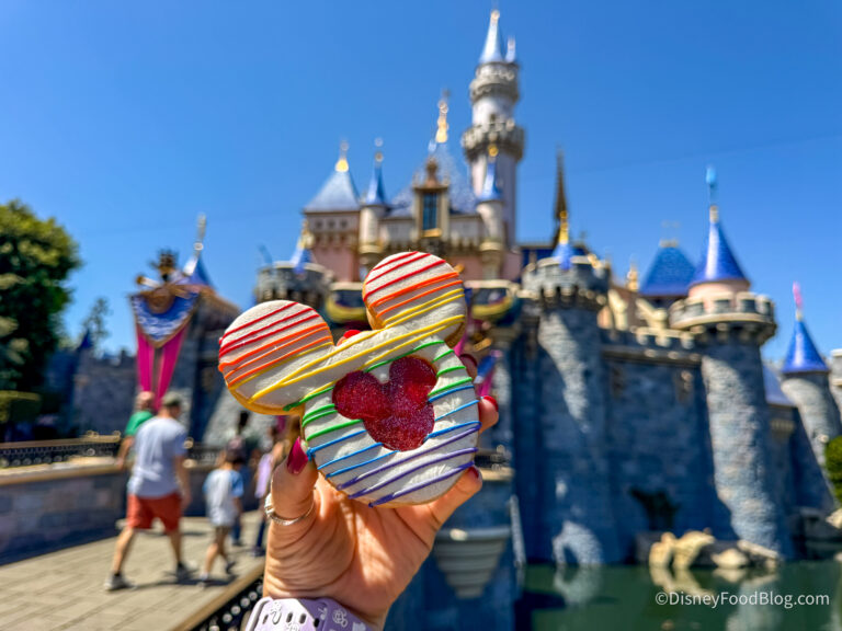 june snacks | the disney food blog