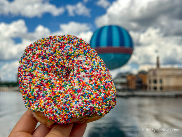 dot donut | the disney food blog