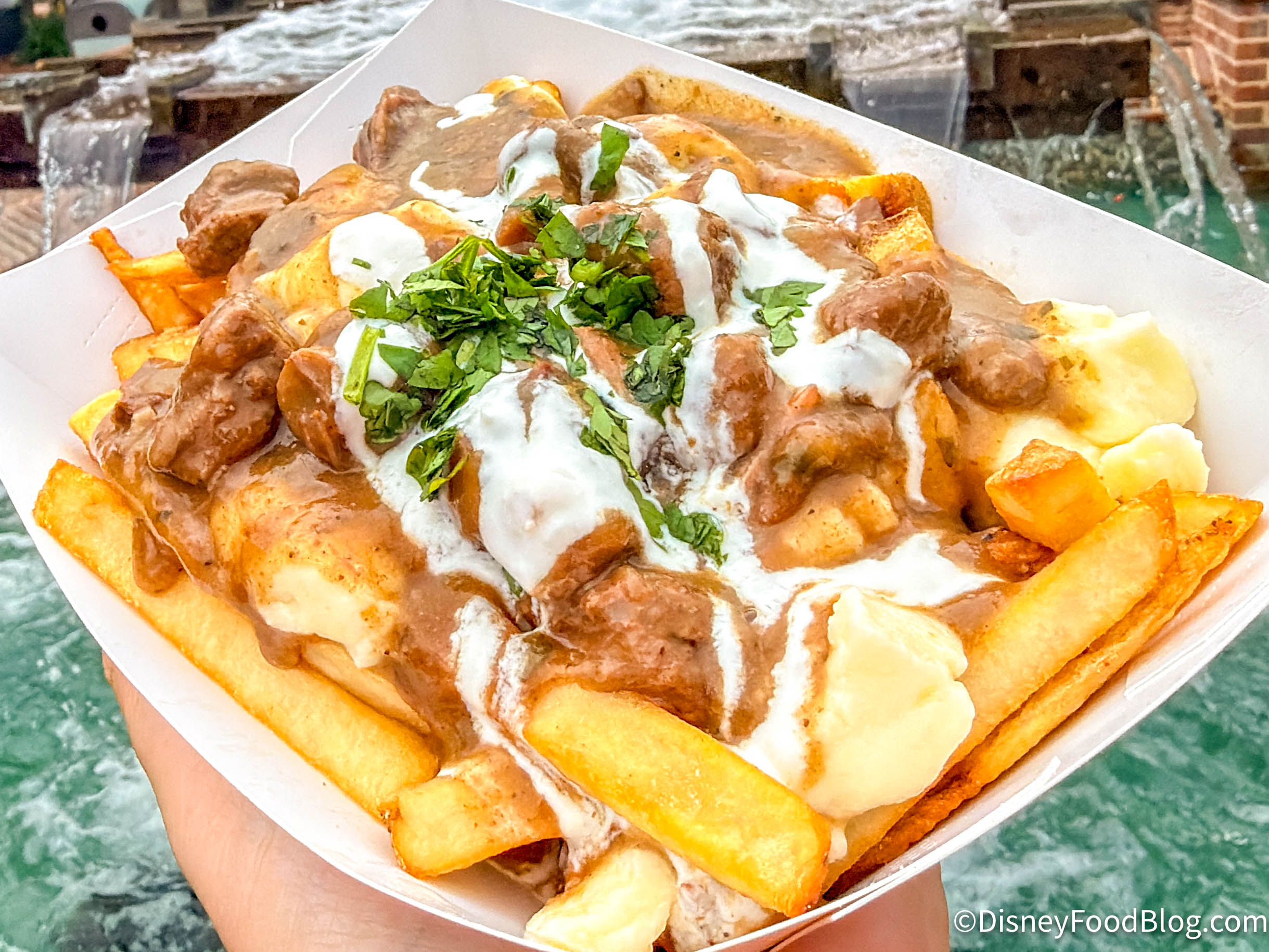 REVIEW: Disney World Poutine Keeps Getting Better and Better, and It ...