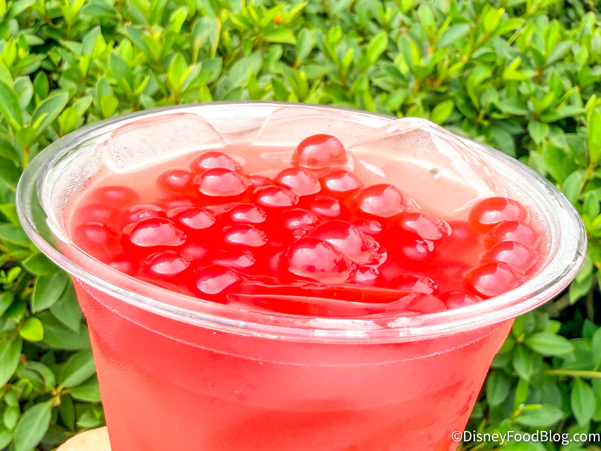 REVIEW: A NEW Boba Drink Dropped At EPCOT's Japan Pavilion, and We Can ...