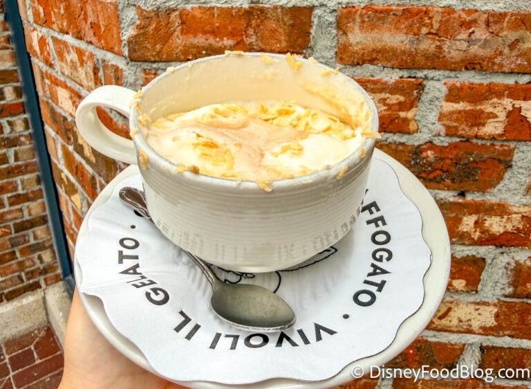 REVIEW: Did We Just Find Our New FAVORITE Disney Springs Dessert? | the ...